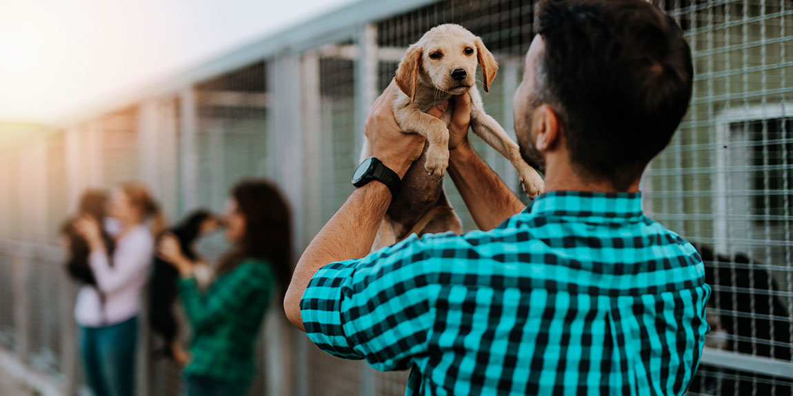 Clear the Shelters Begins Today | Riverside County Department of Animal ...
