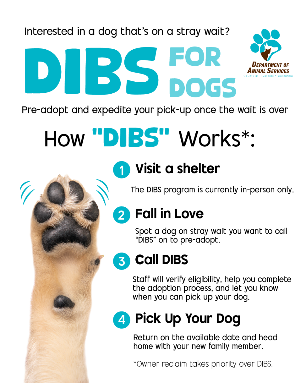 humane society adoption process