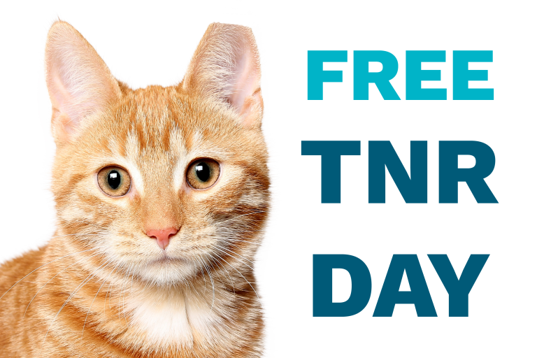 Free Trap, Neuter, Return Day- APPOINTMENT REQUIRED | Riverside County ...