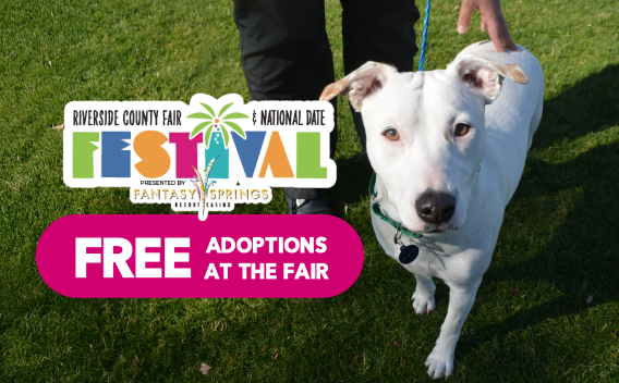 Home | Riverside County Department of Animal Services