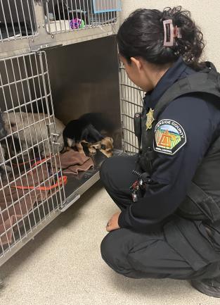 Home | Riverside County Department of Animal Services